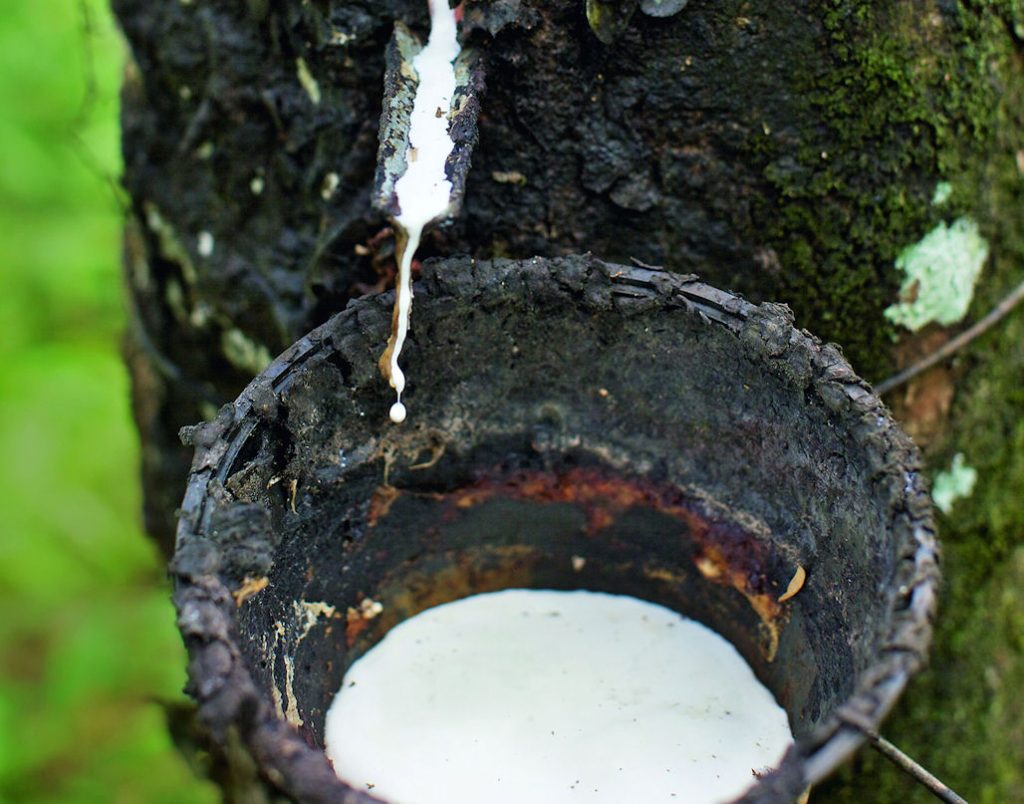 What is sustainable SMR20